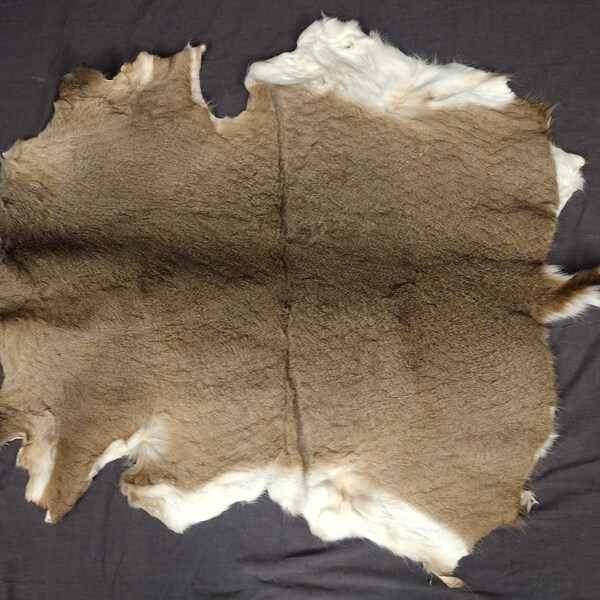 Deer Hide - Etsy