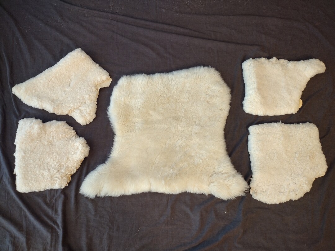 Sheep Hide Remnants - Etsy