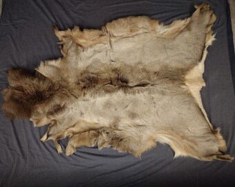 Elk Body Hair on Hide Piece Choice of Size Stock No. FUR-38 - Etsy