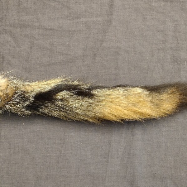 Coyote Tail - Etsy