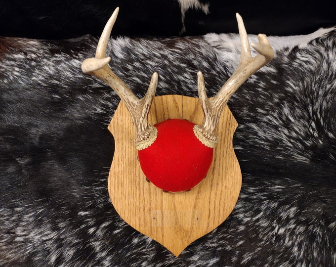 7 Point Deer Antler Mount - Etsy