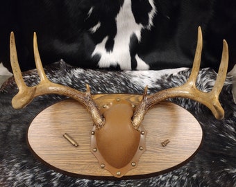 10 Point Deer Antler Mount - Etsy
