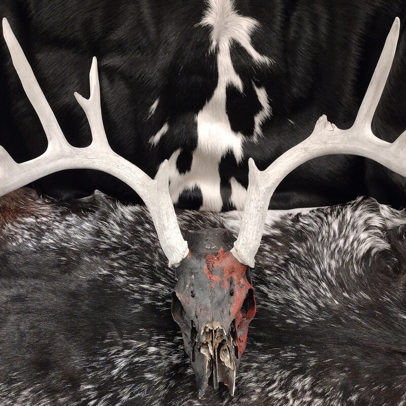 Deer Skull Mask - Etsy