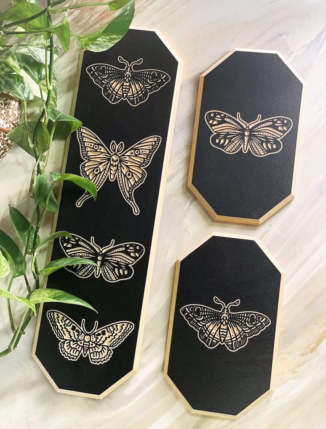 Woodcuts. Moths - Elongated Octagon - Etsy
