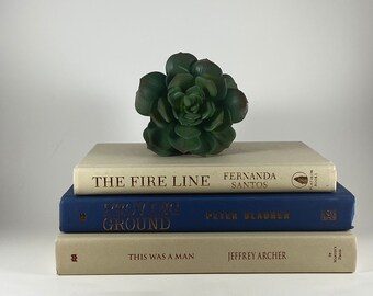 Book Stack of Navy Blue White Beige Decorative Books Hardcover Books ...