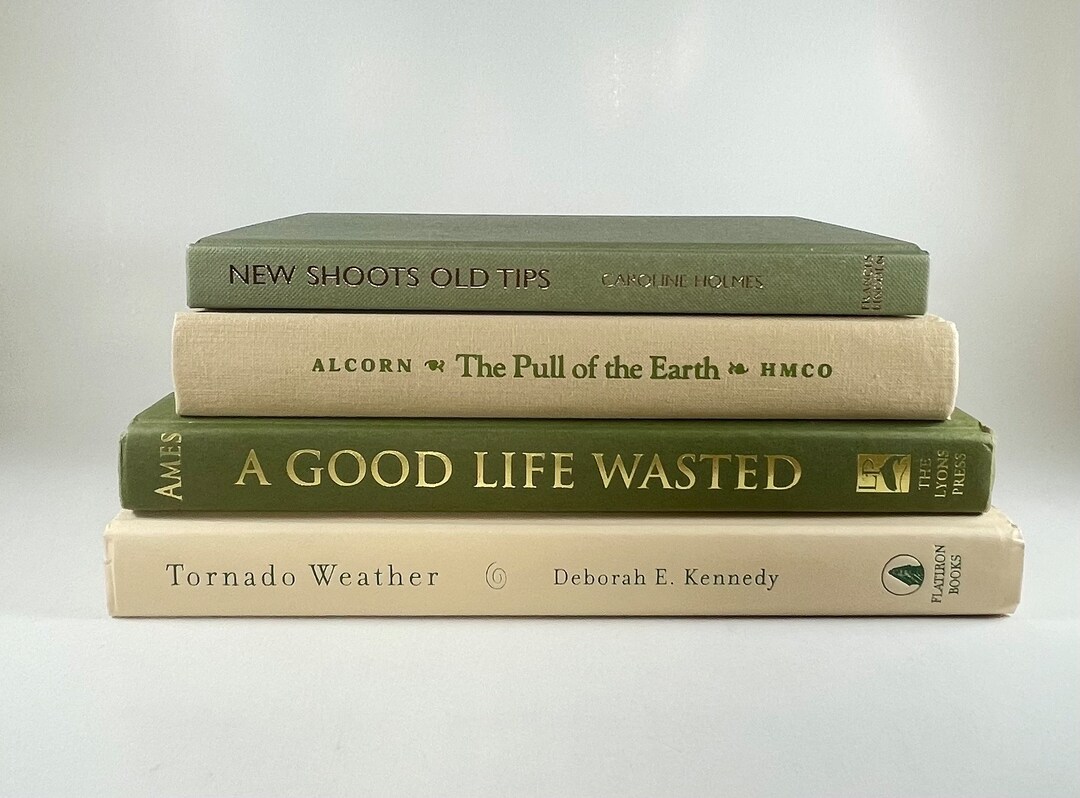 Sage Green and Beige Book Set Real Books for Home Decor Decorative ...