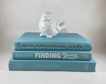 Turquoise Book Set | Etsy