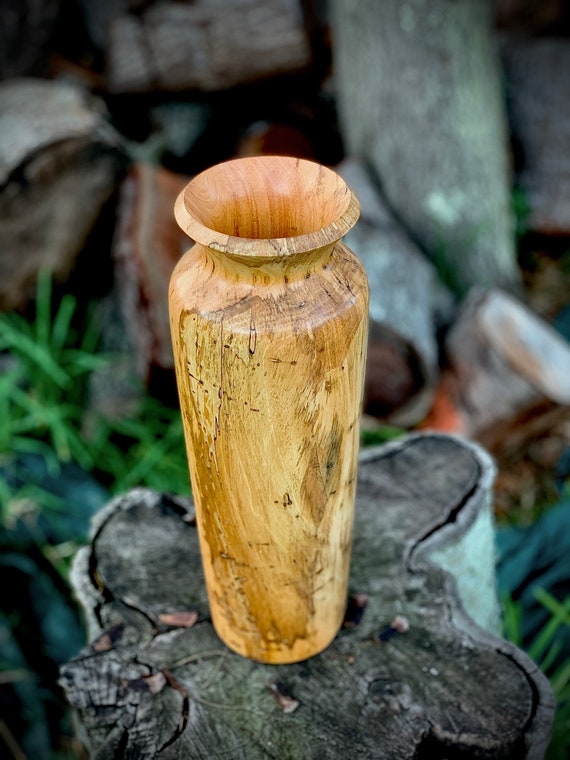 Avocado Tree Vase - Etsy