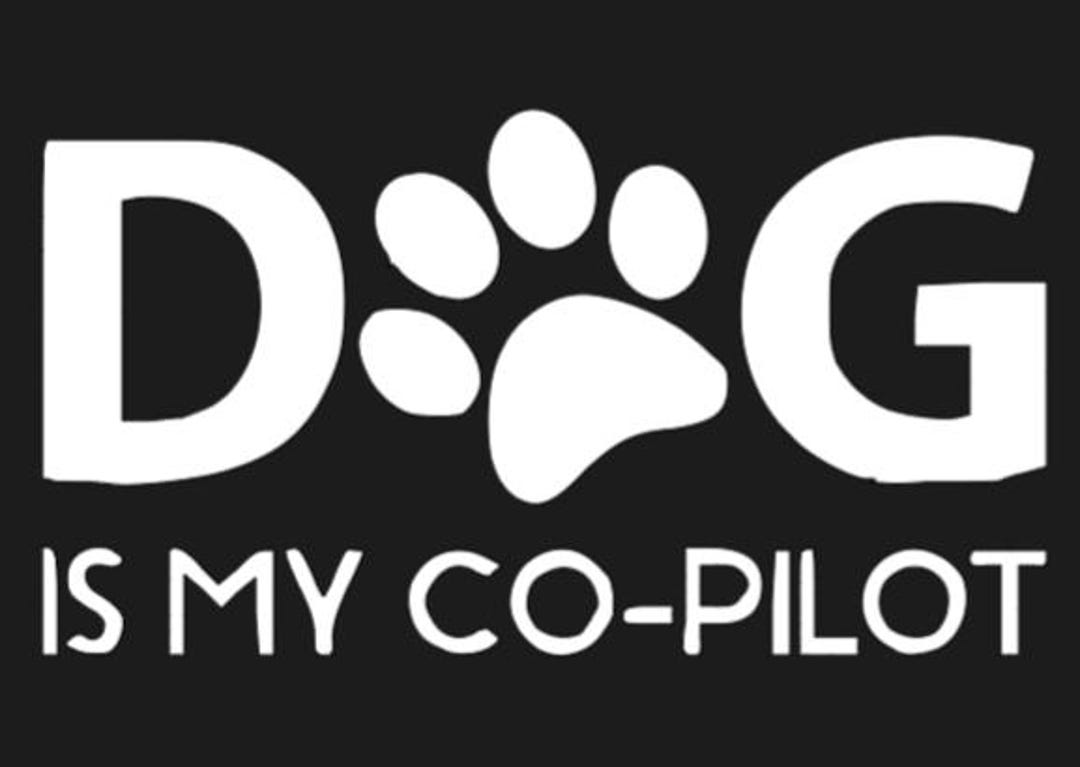 Dog is My Co-pilot Vinyl Decal - Etsy
