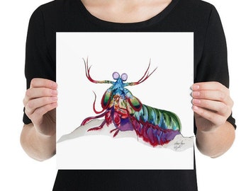Mantis Shrimp Print, Rainbow Mantis, Colorful Art, Tropical Decor - Etsy