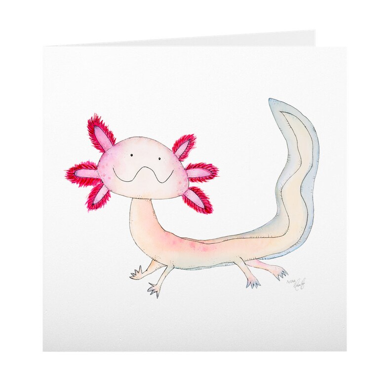 Axolotl Blank Folded Card - Etsy