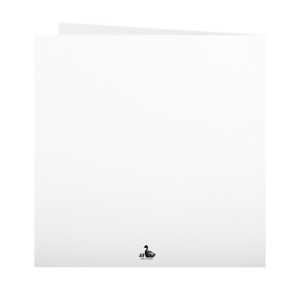 Mantis Shrimp With Shell, Blank Card, Original Illustration 4 - Etsy