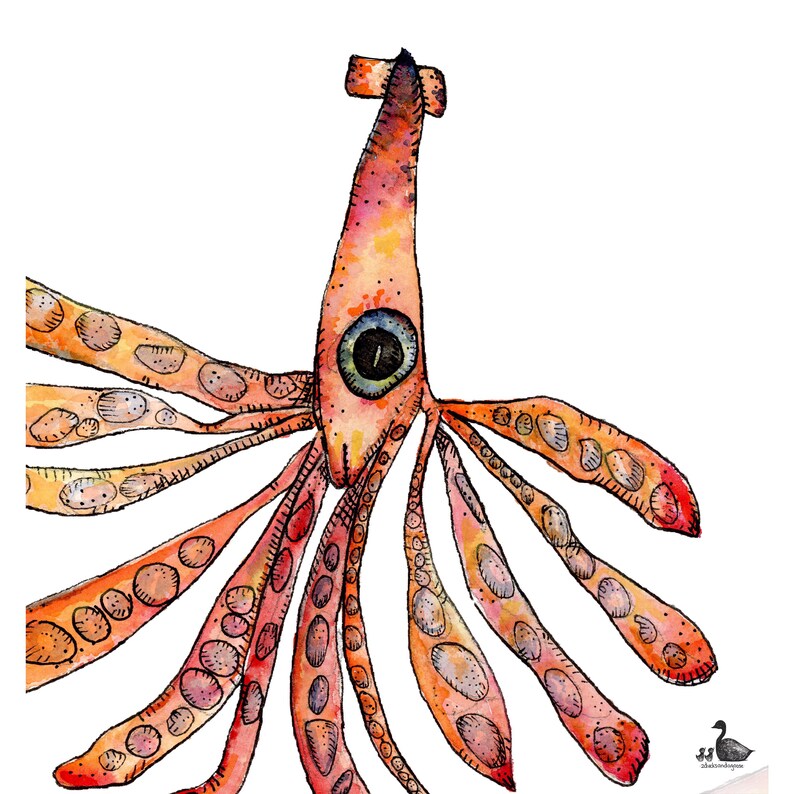 Colossal Squid Fine Art Print - Etsy