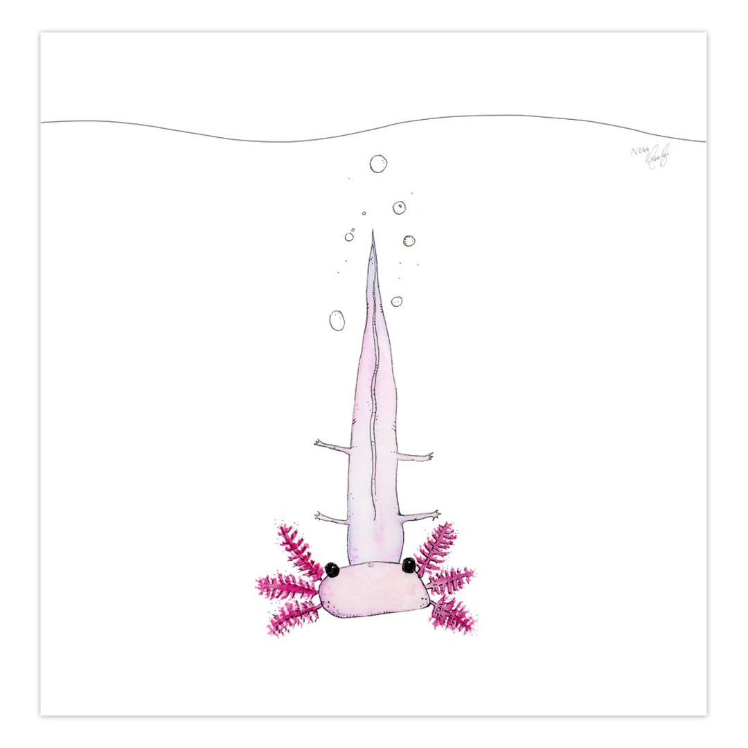 Axolotl Diving Folded Card - Etsy