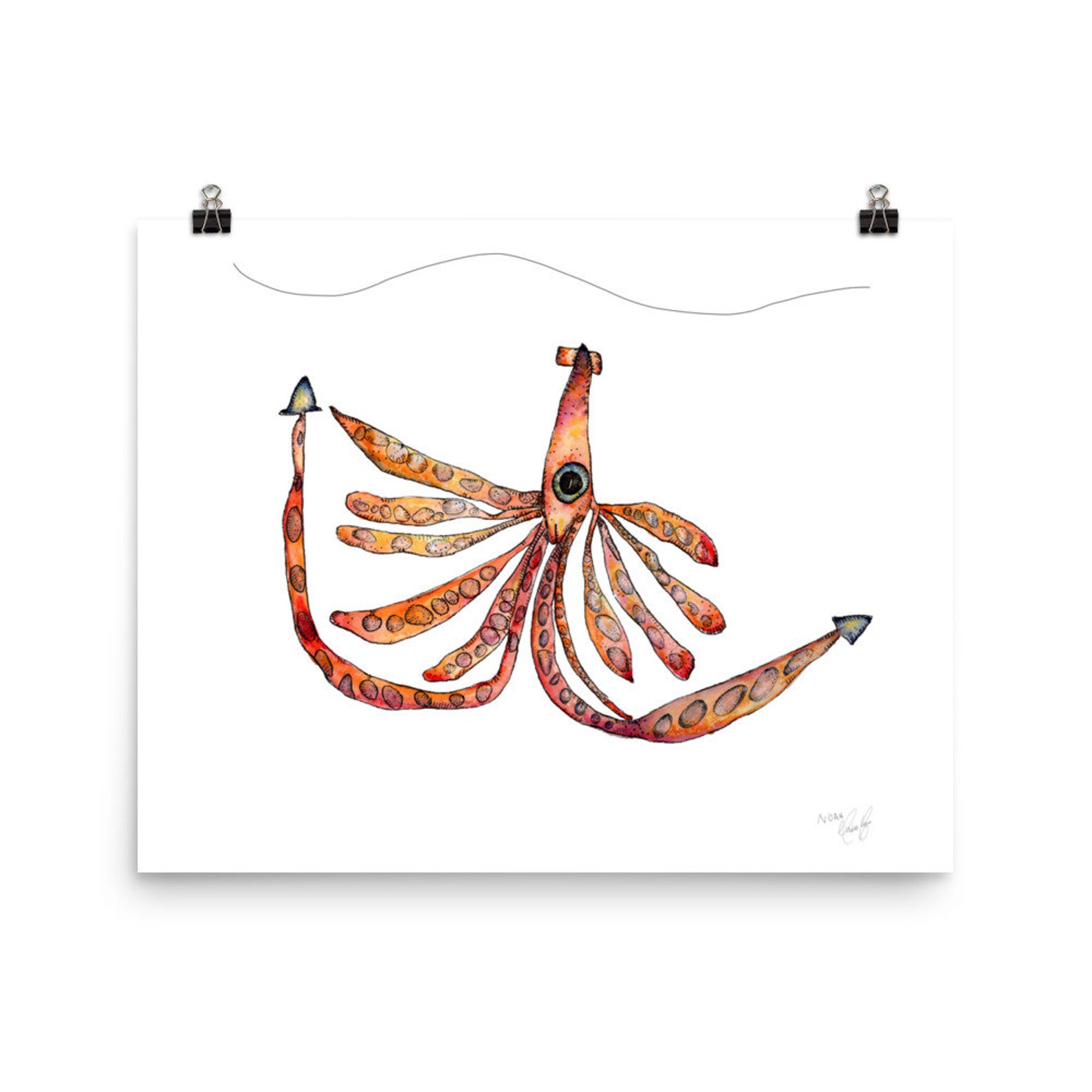 Colossal Squid Fine Art Print | Etsy