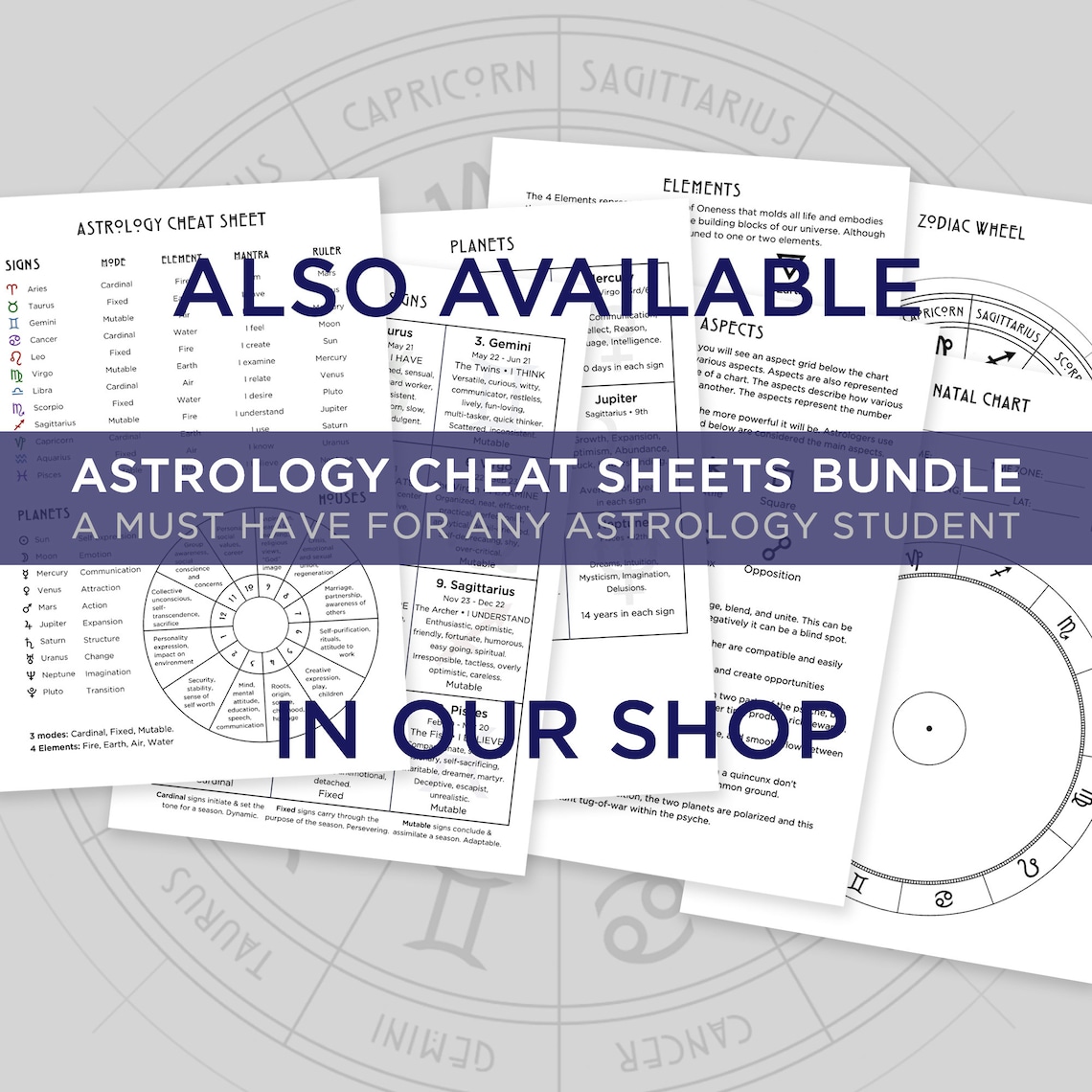 Blank Astrology Natal Chart Wheel. Printable Worksheet. Witchy Book of ...