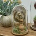 Miniature Farmhouse Easter Glass Dome - Etsy