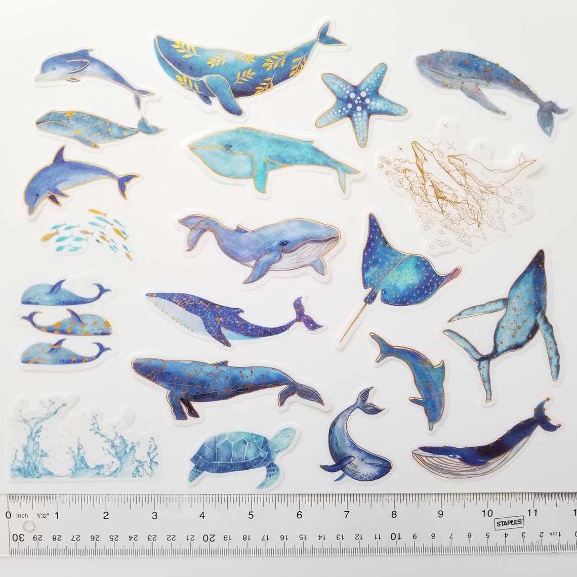 Ocean Animal Stickers: Nautical Sealife, Scrapbooking Stickers (20 Pc ...