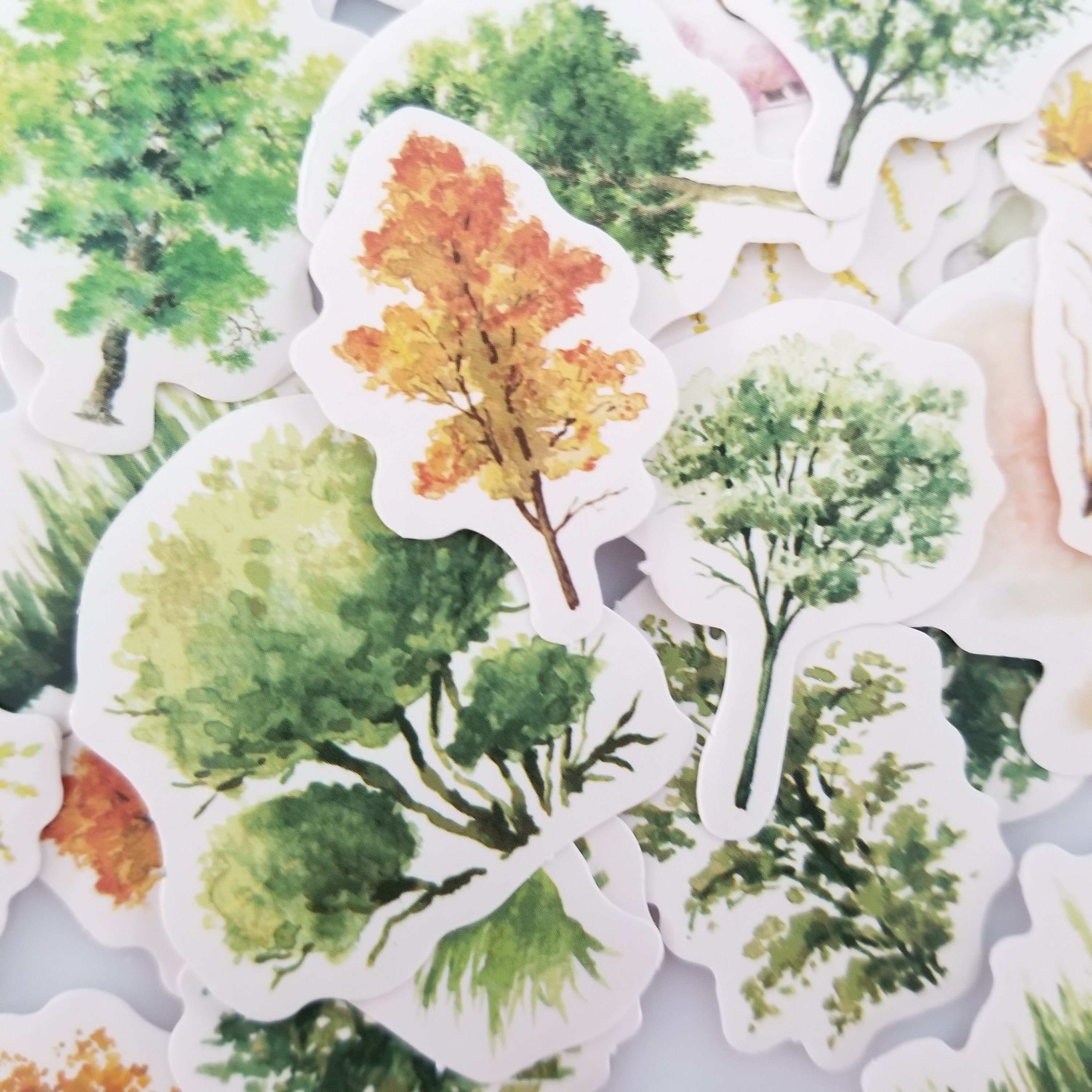 Seasons Tree Planner Scrapbooking Card Invitation Stickers - Etsy