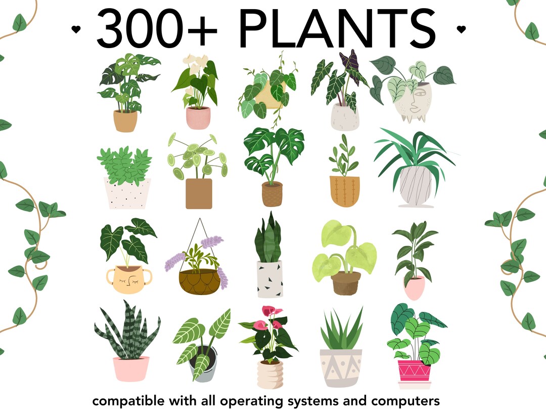 300 House Plant Icons for Mac & PC Folders, File Icons, Mac, PC ...