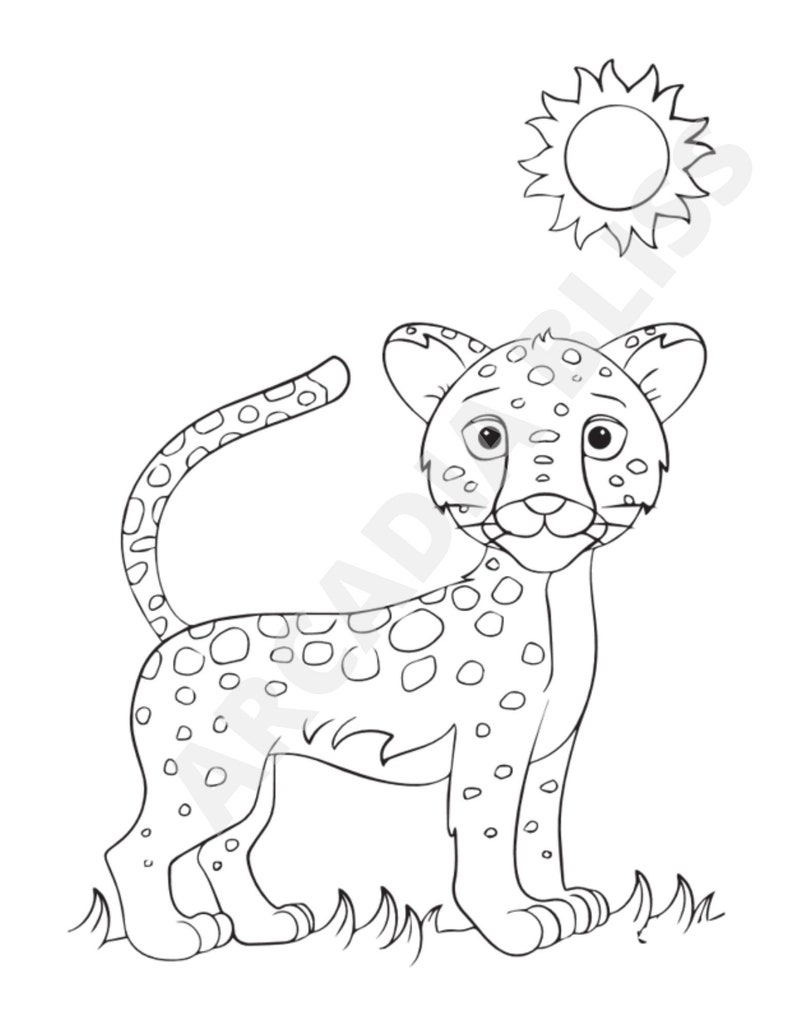 50 Animal Coloring Pages - Printable PDF 8.5" X 11" - Instant Download ...