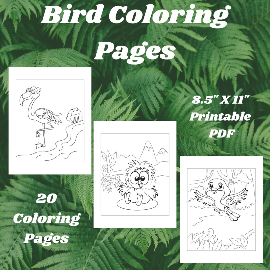 Hojas para colorear de pájaros 20 páginas para colorear de pájaros en ...