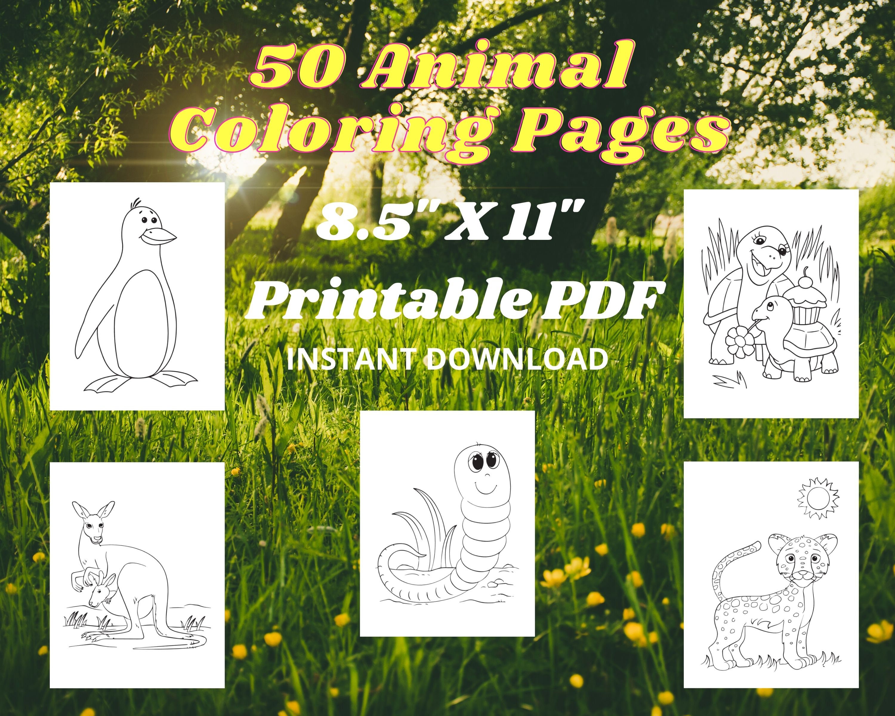 50 Animal Coloring Pages - Printable PDF 8.5" X 11" - Instant Download ...