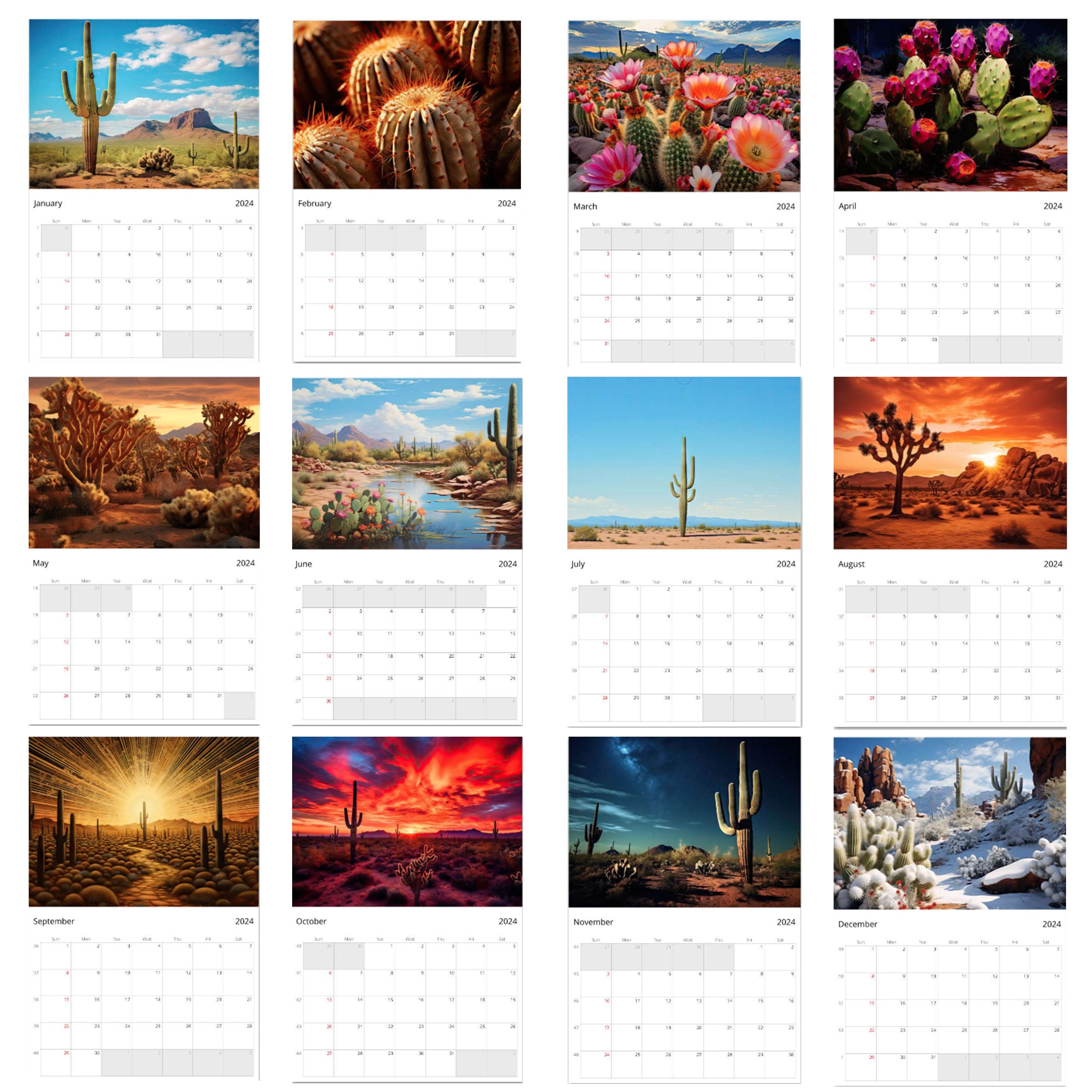 2024 Cactus Wall Calendar, Cacti, Desert Southwest Flora - Etsy