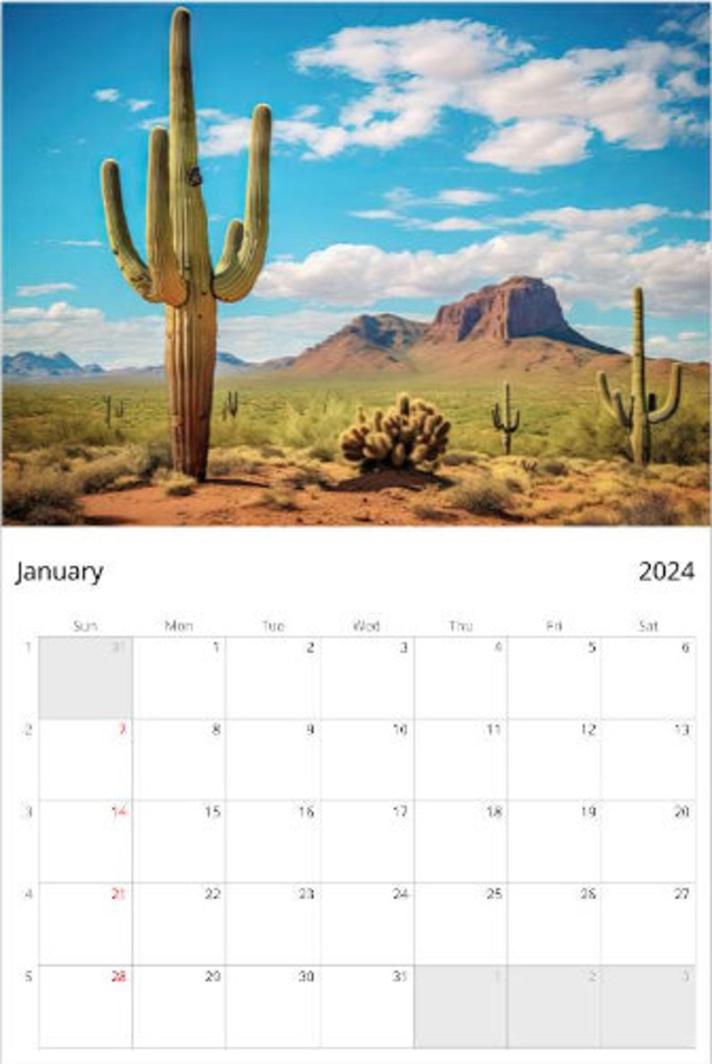 2024 Cactus Wall Calendar, Cacti, Desert Southwest Flora - Etsy