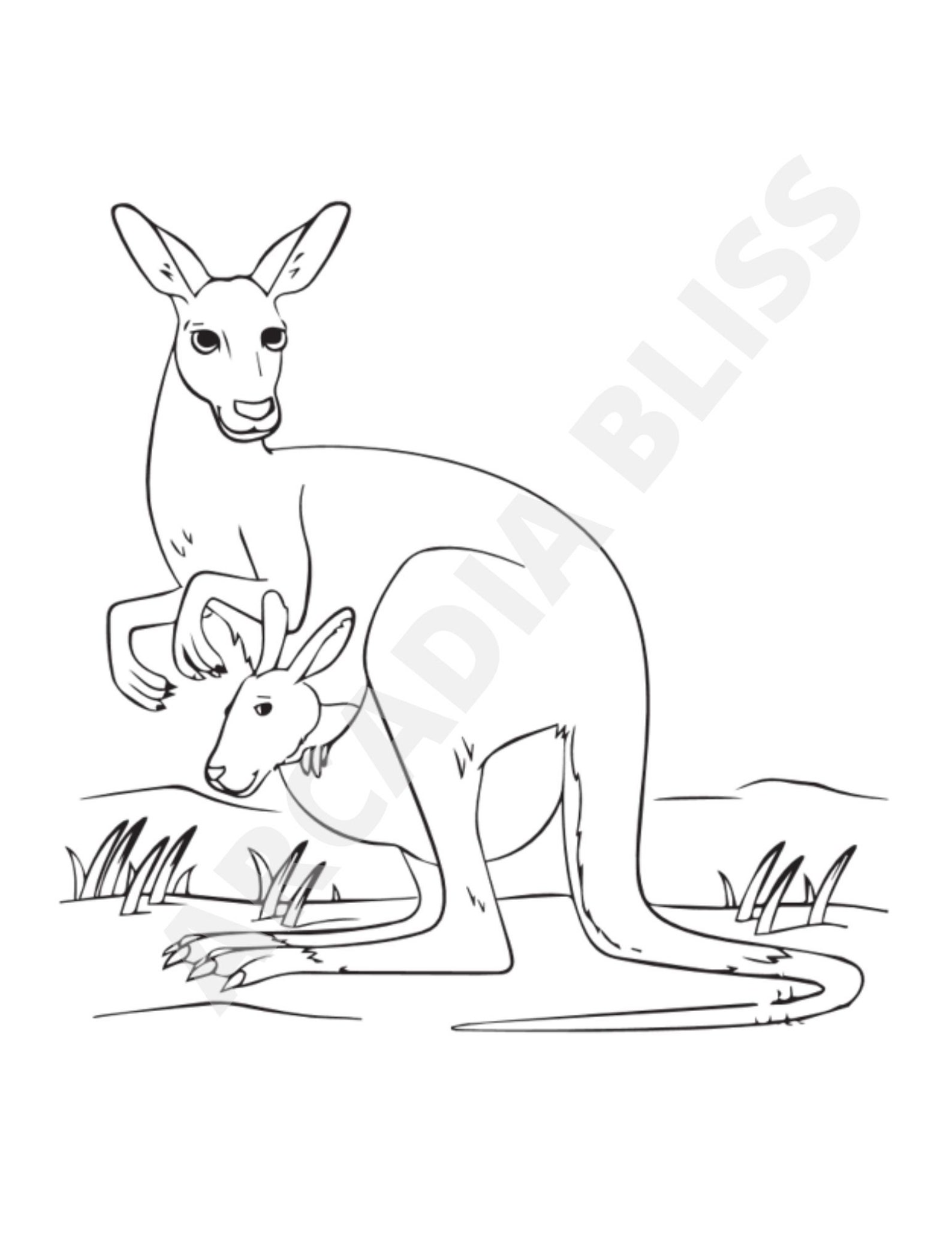 50 Animal Coloring Pages - Printable PDF 8.5" X 11" - Instant Download ...