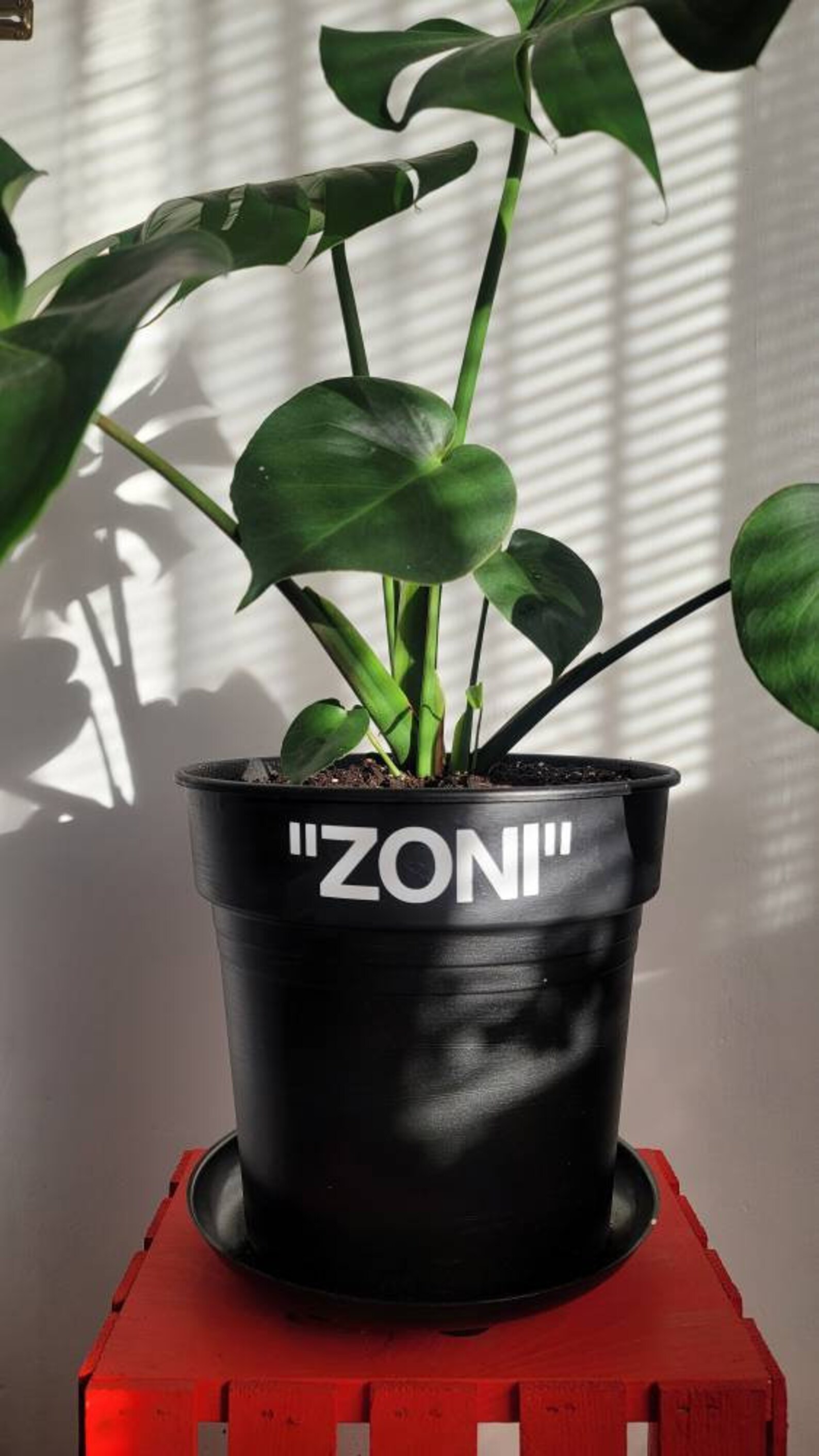 Custom Off-white Inspired Vinyls Mirror Decals Window - Etsy