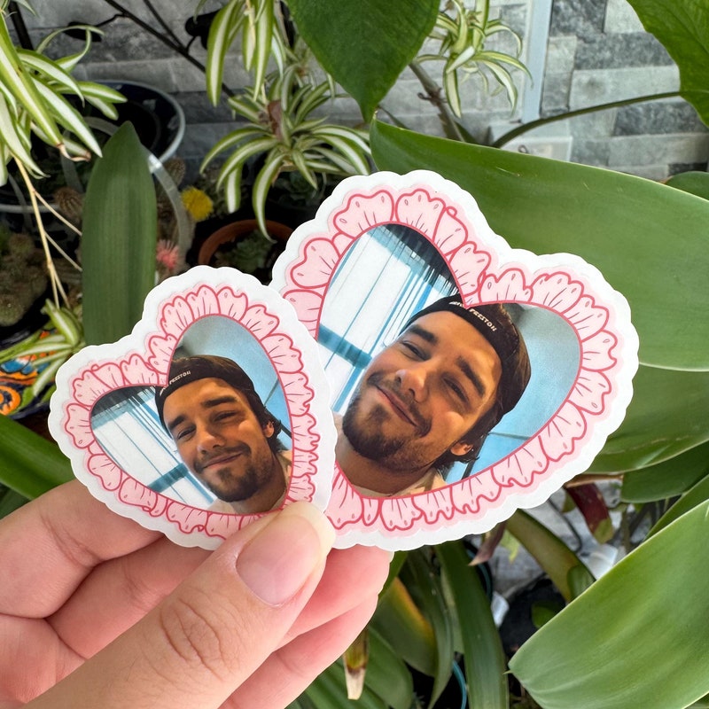 One Direction Stickers - Etsy