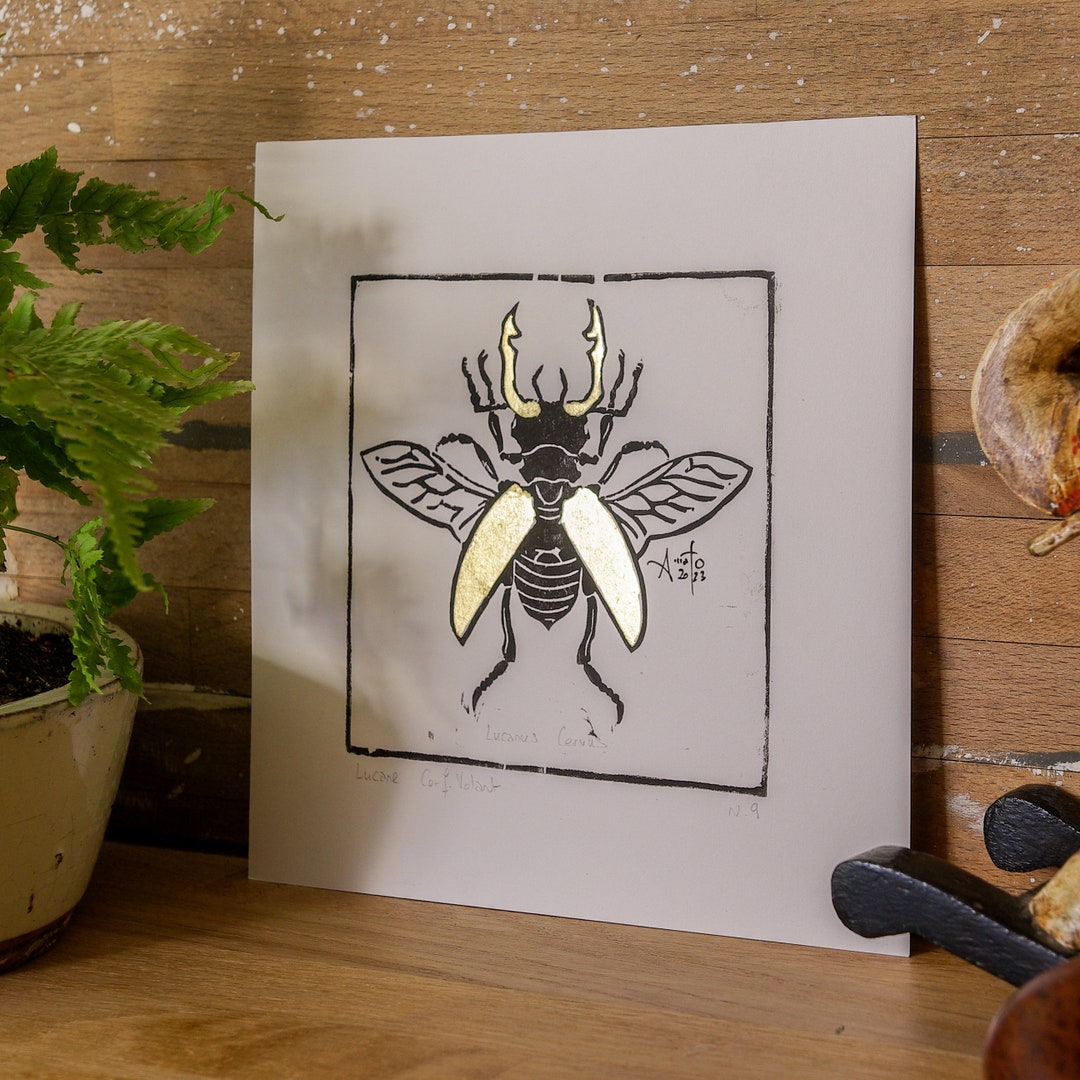 Engraving Insect Beetle Stag Beetle Kite and Gilding With 22 Carats ...
