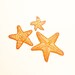 Painted Sea Stars (set of 3) - Etsy