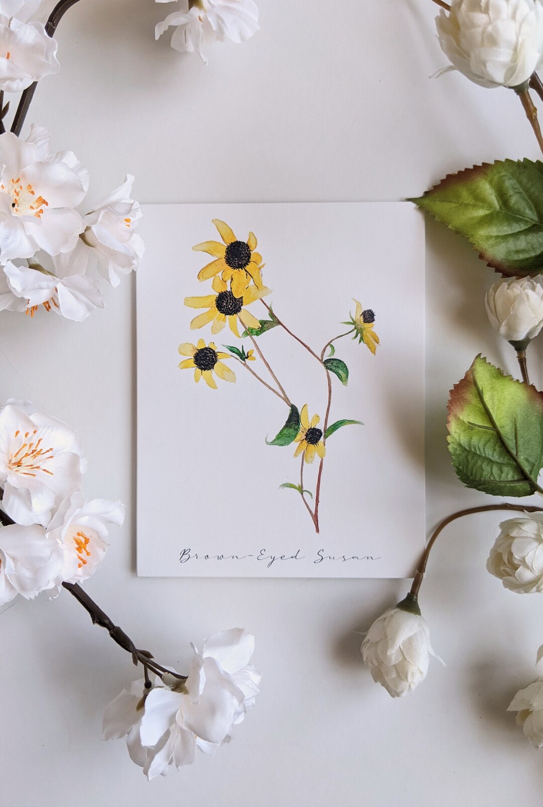 Brown-Eyed Susan - Biglietti di auguri vuoti e piegati - Confezione da ...