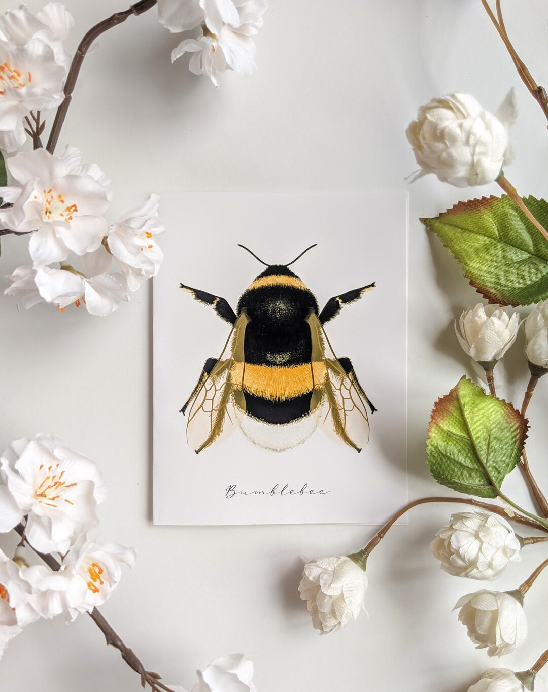 Bumblebee - Blank, Folded Note Cards - Pack of 5 - Etsy