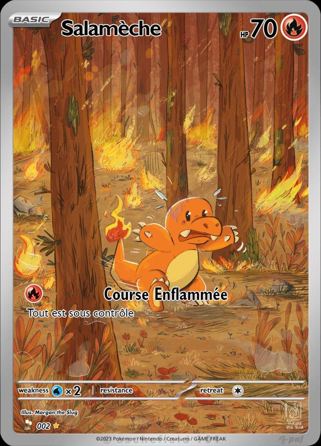 Charmander Custom Pokemon Cards - Etsy