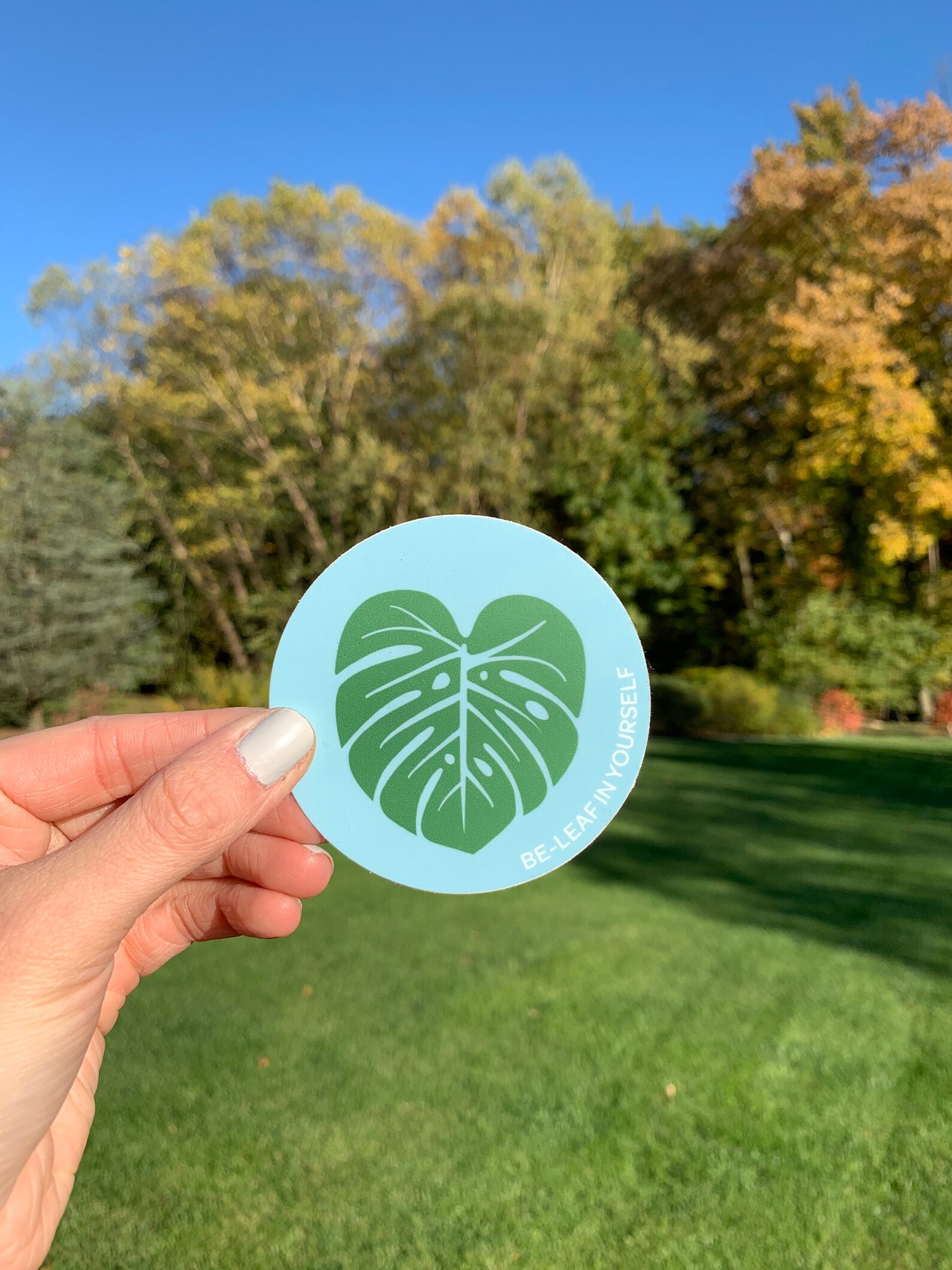 Be-leaf in Yourself Pun Sticker Monstera Leaf Plant Decor - Etsy