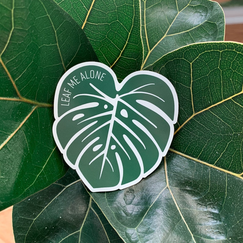 Leaf Me Alone Monstera Magnet Unique Shape in Color Puns - Etsy
