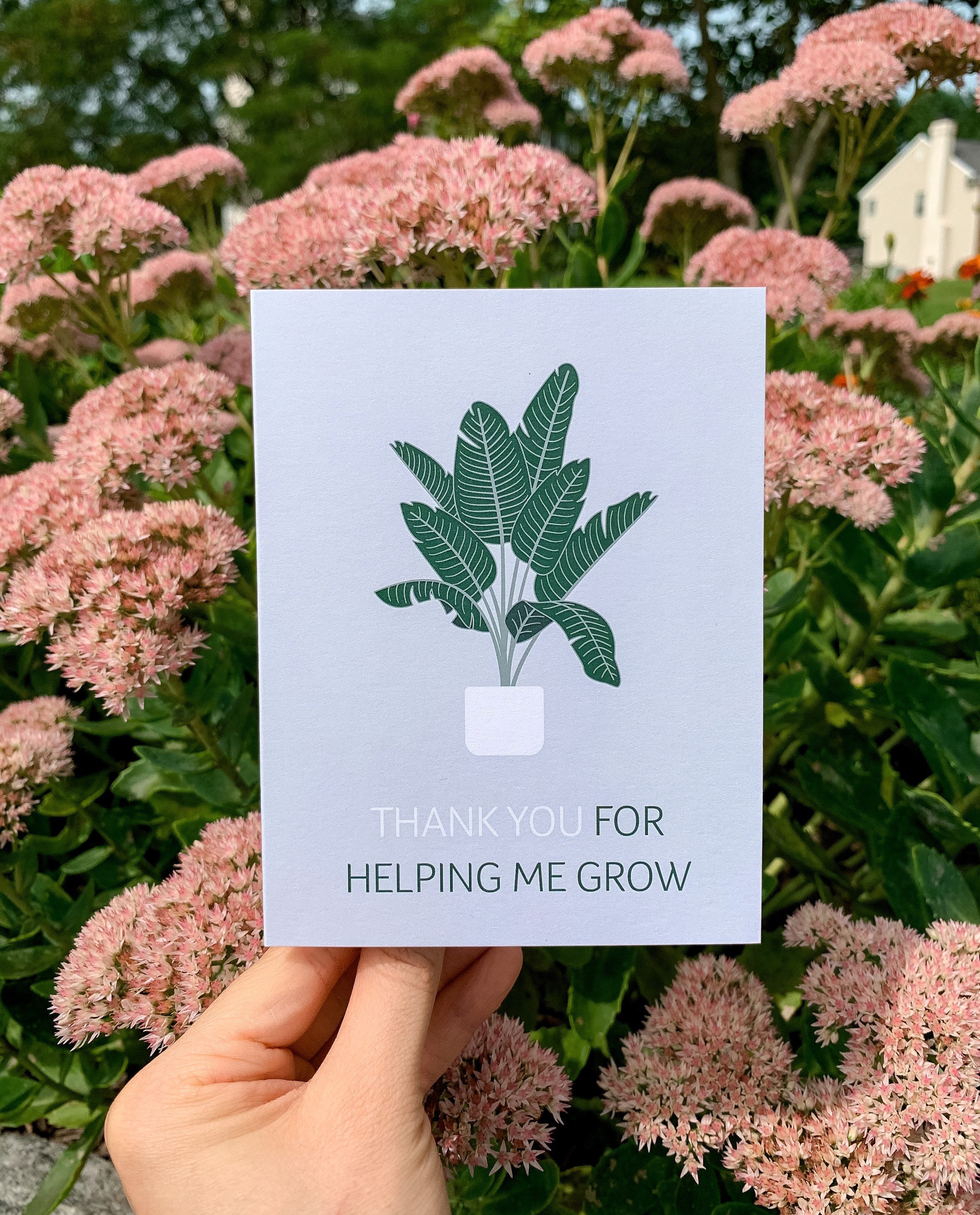 Thank You for Helping Me Grow Greeting Card Illustration | Etsy