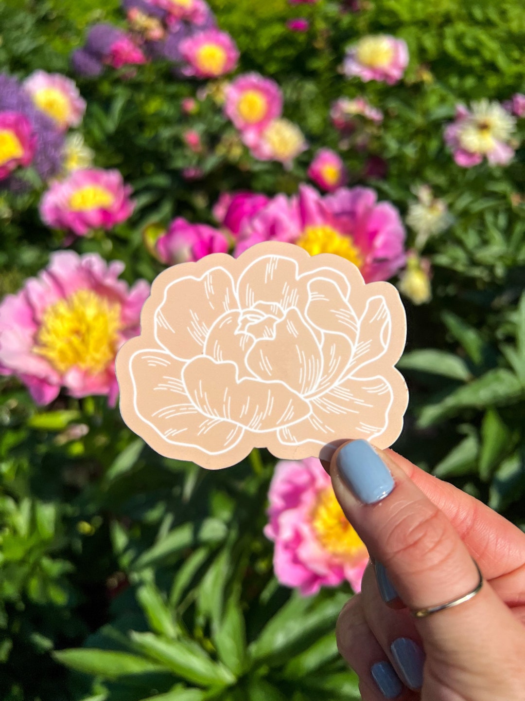 Peony 3 Sticker Peony Bloom Flower Plant Vinyl Sticker - Etsy