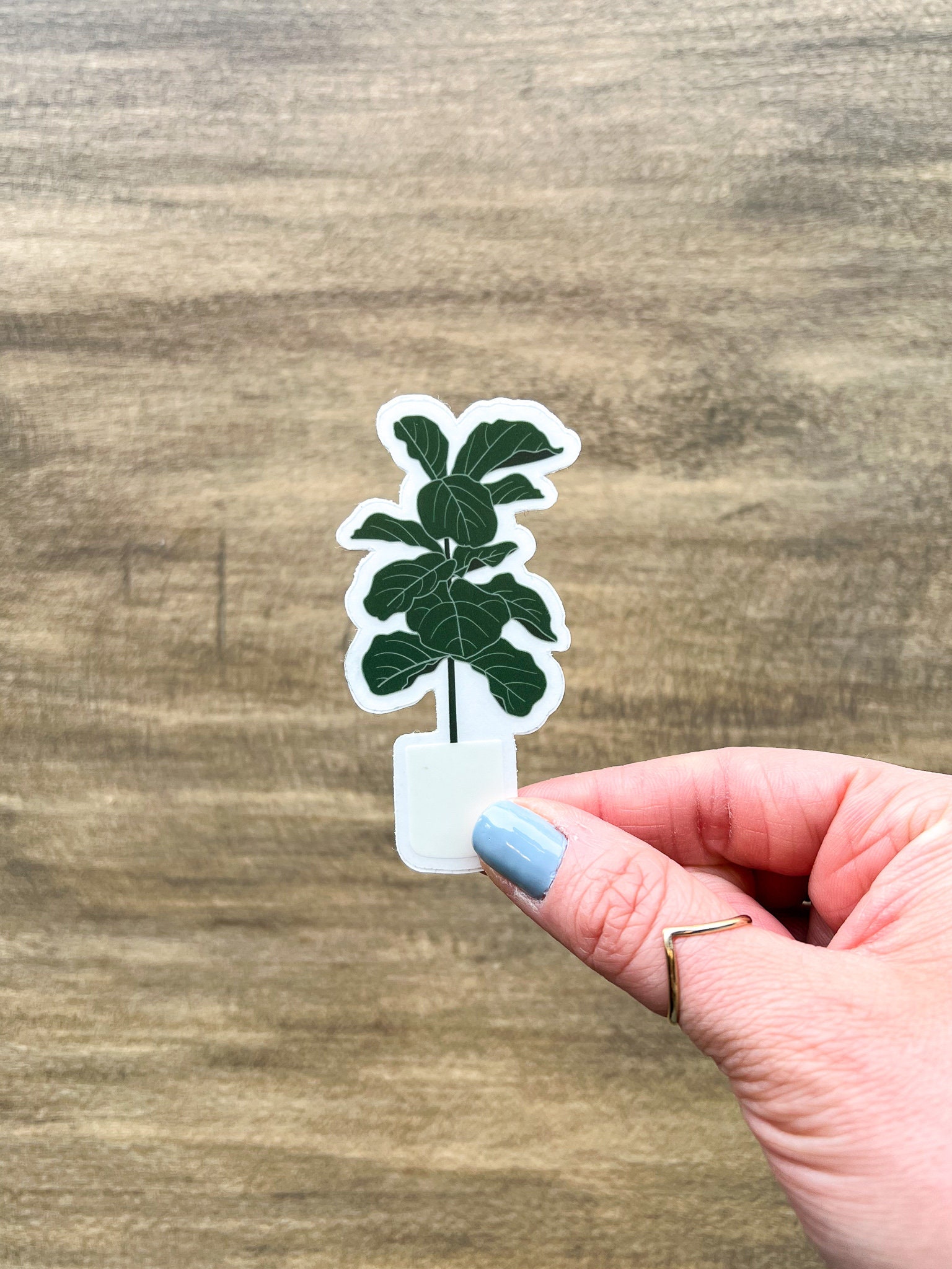 Paper & Party Supplies Paper Brown Fig Tree Plant Sticker ~ Houseplant ...
