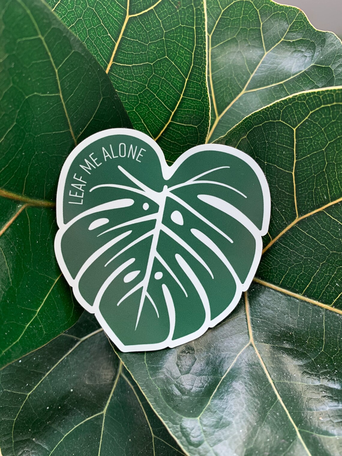 Leaf Me Alone Monstera Magnet Unique Shape in Color Puns - Etsy