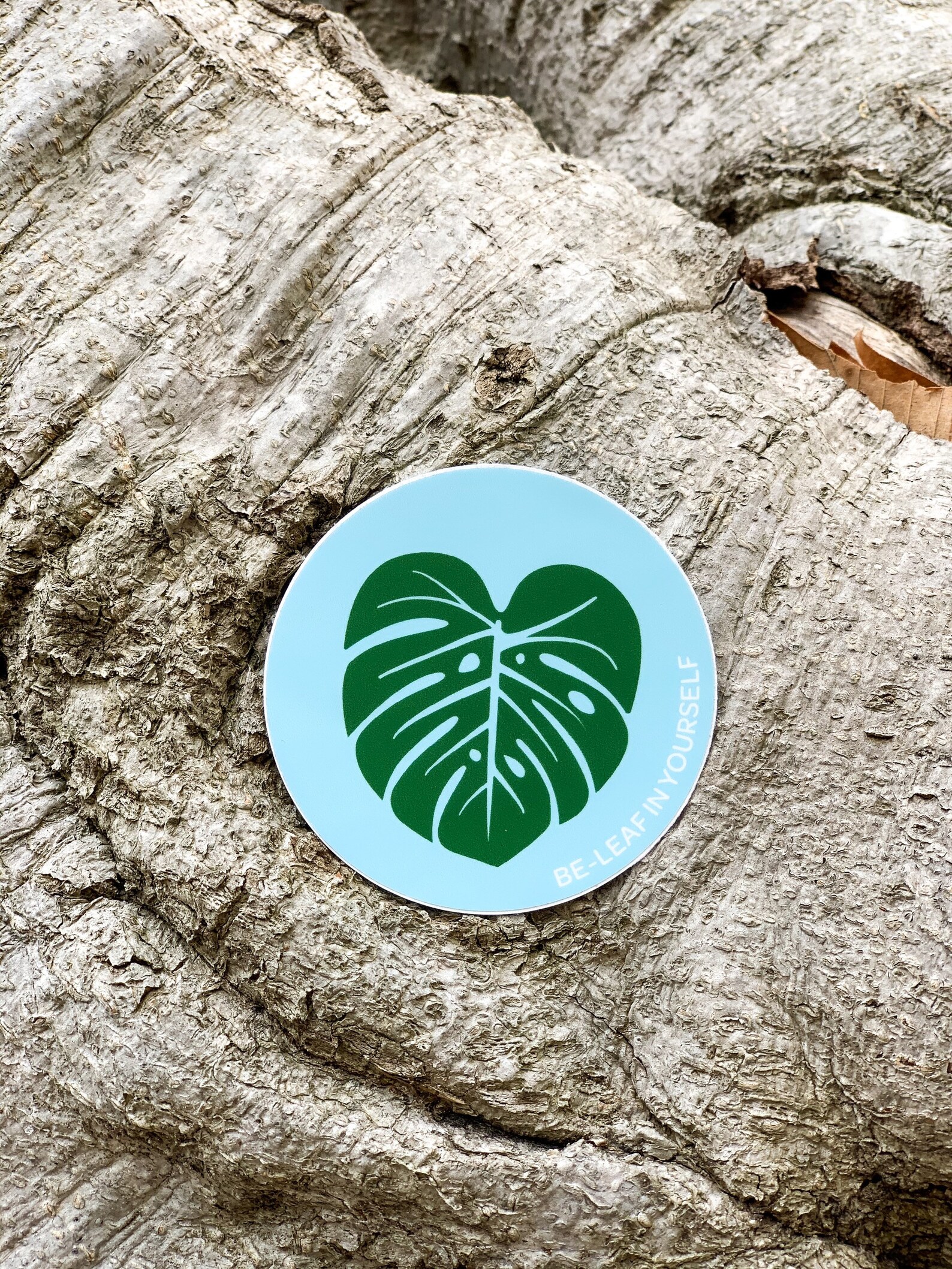 Be-leaf in Yourself Pun Sticker Monstera Leaf Plant Decor - Etsy