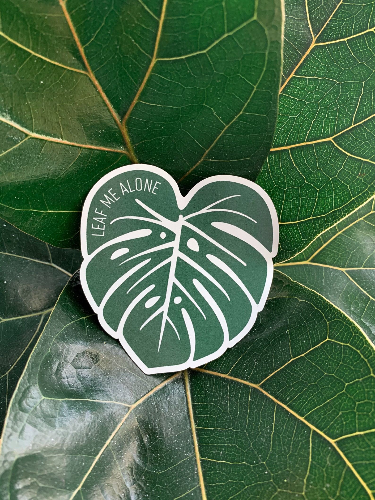 Leaf Me Alone Monstera Magnet Unique Shape in Color Puns - Etsy