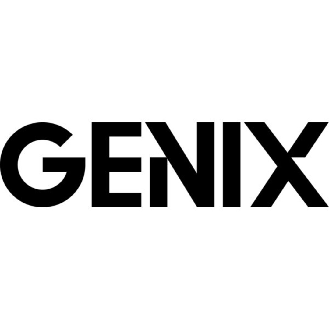 Genix Car Decal Sticker - Etsy