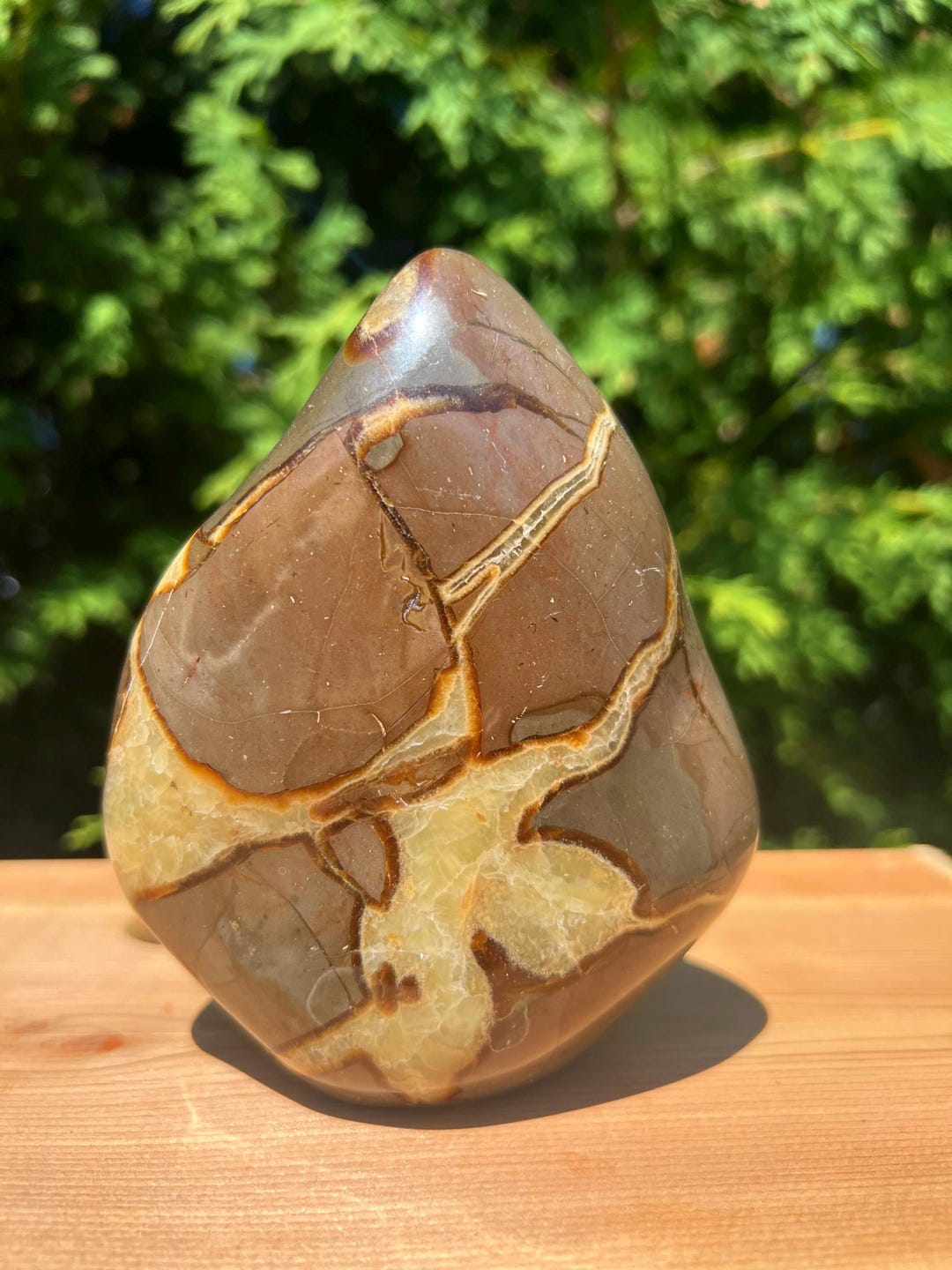 Polished Septarian Freeform: Dragon Stone Root Chakra Healing - Etsy