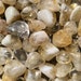 Citrine Tumbled Stone, Solar Plexus Chakra Crystal - Etsy