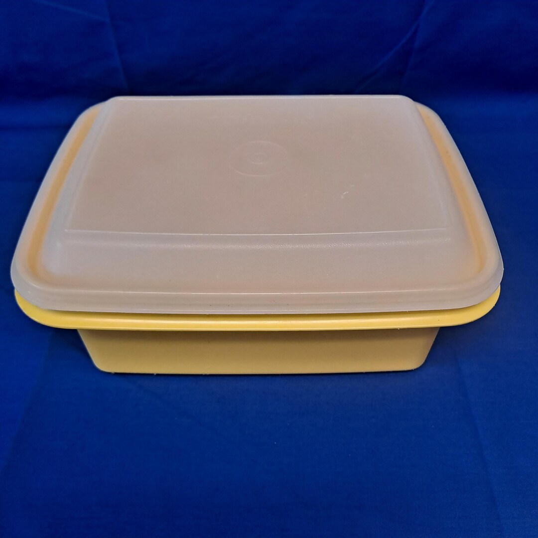 Vintage Tupperware FREEZE-N-SAVE CONTAINER 1254 Storage Freezer ...