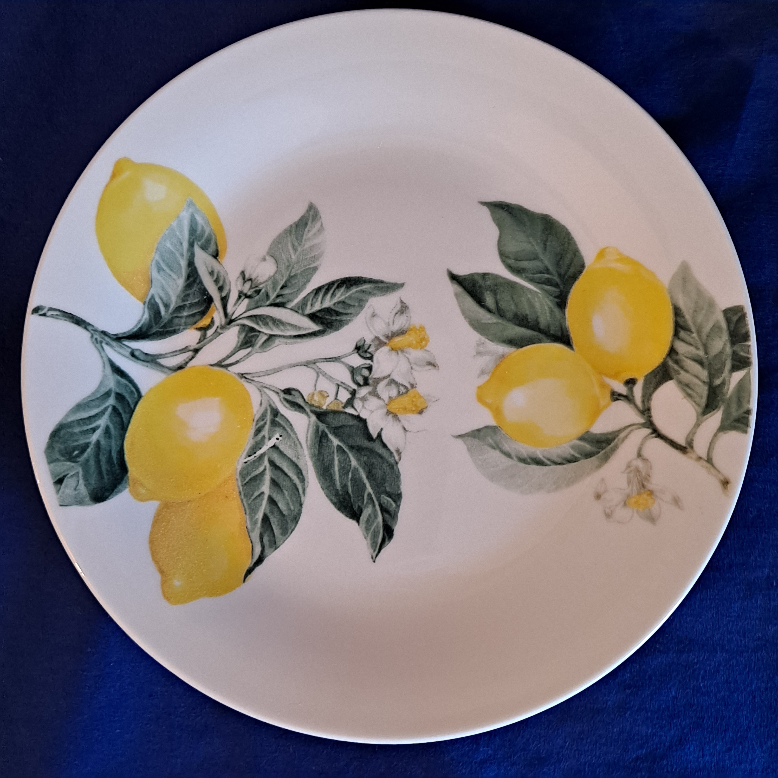 Lot 4 Royal Norfolk 7 1/2" SALAD PLATES LEMONS Dinner Bread Dessert ...